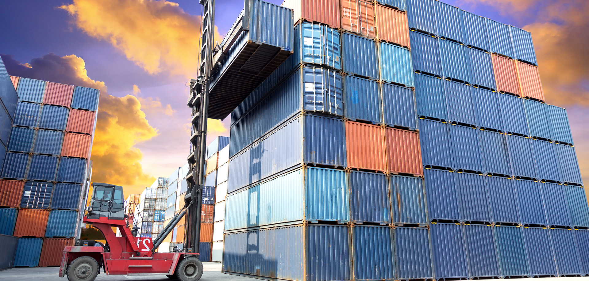 Wilton International Trading | Vehicle Shipping